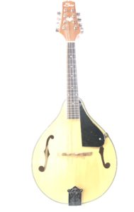 Tungna, the Tibetan guitar - Nepal Music Gallery