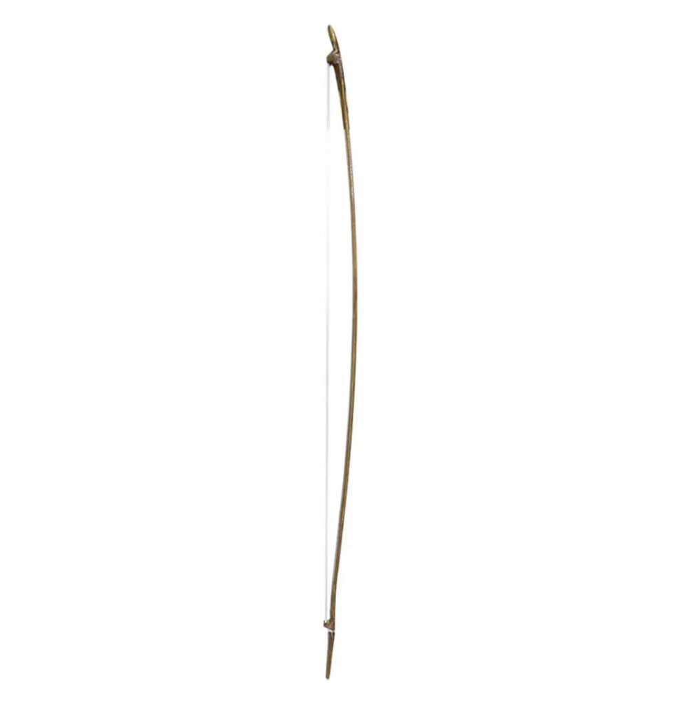 Wooden Nepali Sarangi -Professional - Nepal Music Gallery