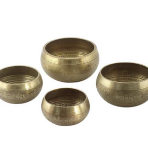 Binayo Tradiotional Instrument - Nepal Music Gallery