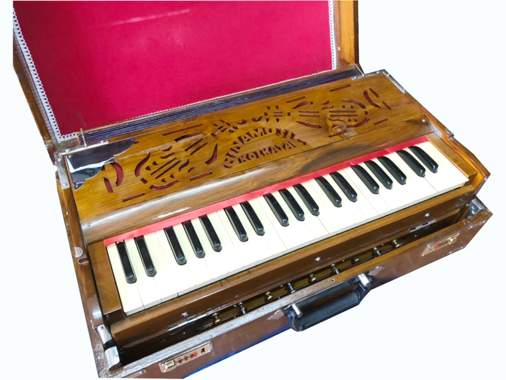 Bina-Harmonium - Nepal Music Gallery