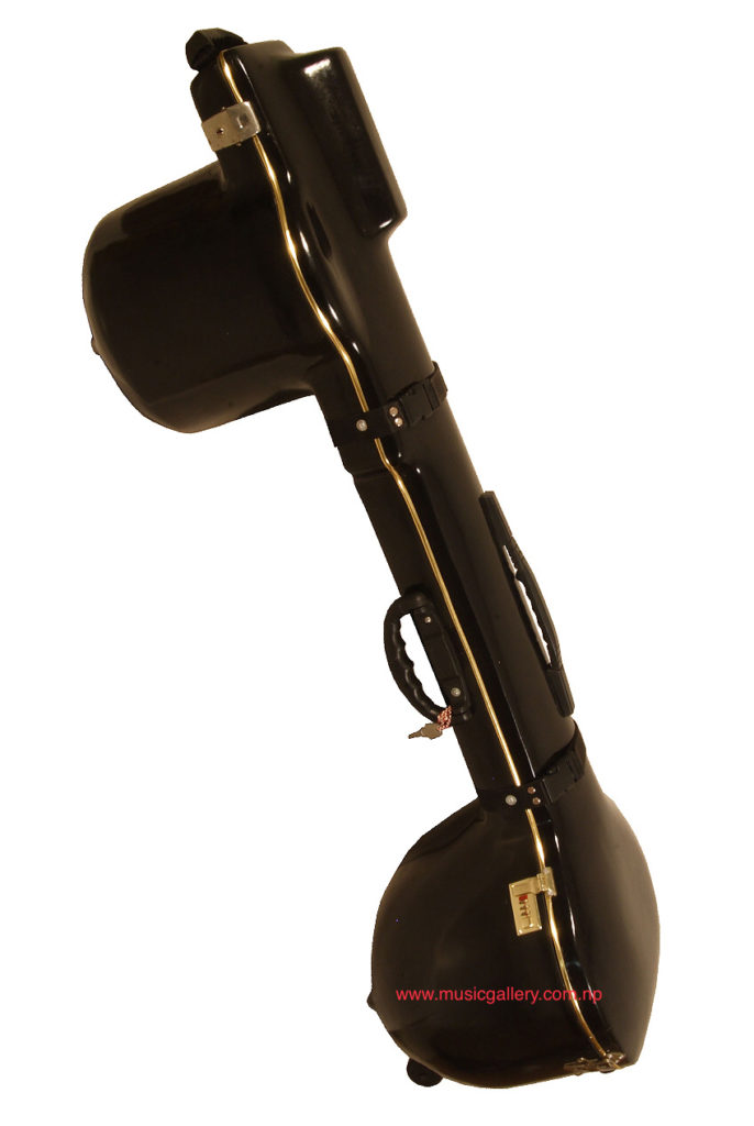 Sitar - Nepal Music Gallery